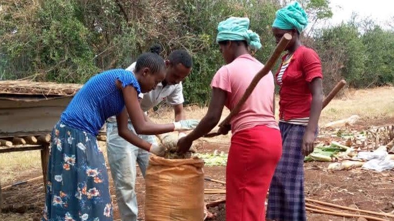 News - Bilder aus dem Nono